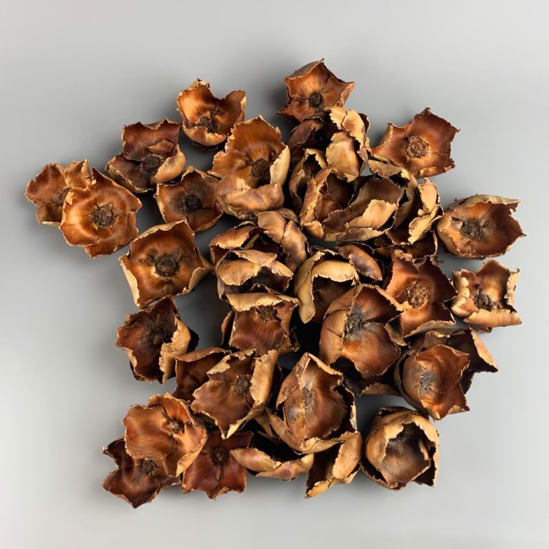 Palm Cups x 5, approx. 10 cm diameter. Natural