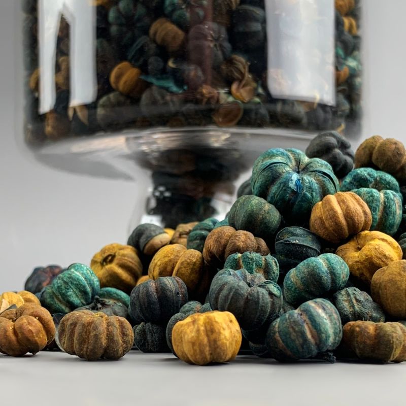 Putka Seed Pods 300-gram bag, approx. 10 to 20 mm