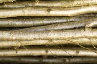 Rustic Hazel bundles, approx. ½”, 1” an 2” diameter