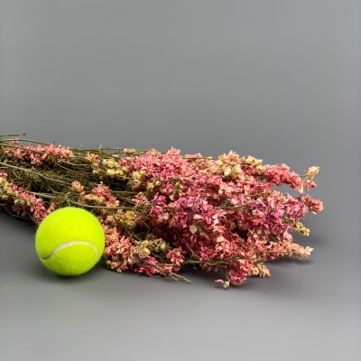 Larkspur, delphinium, Pink bunch, 75cm tall Natural dried flowers