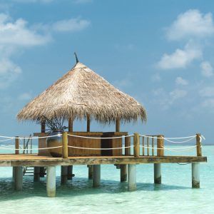 Thatch Roll / Fringe. Grass thatch- Classic Tiki bar