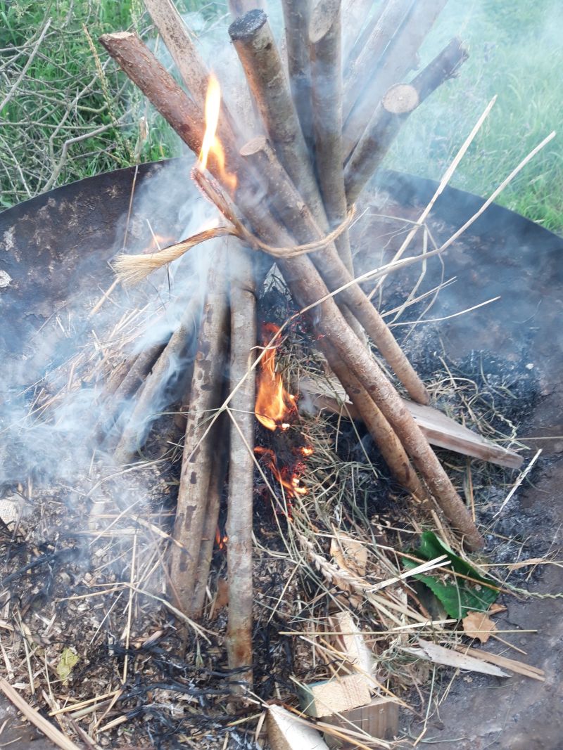 Kindling Fire Wood Bundle, approx. 1/2 to 1 inch diameter twigs, 18 ...