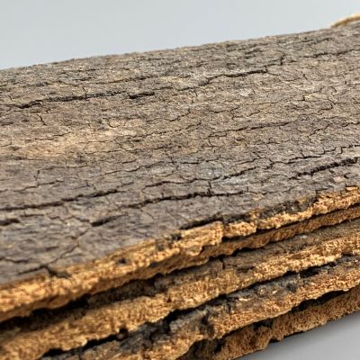 Birch Bark Sheets, 12.5cm x 25cm rustic texture