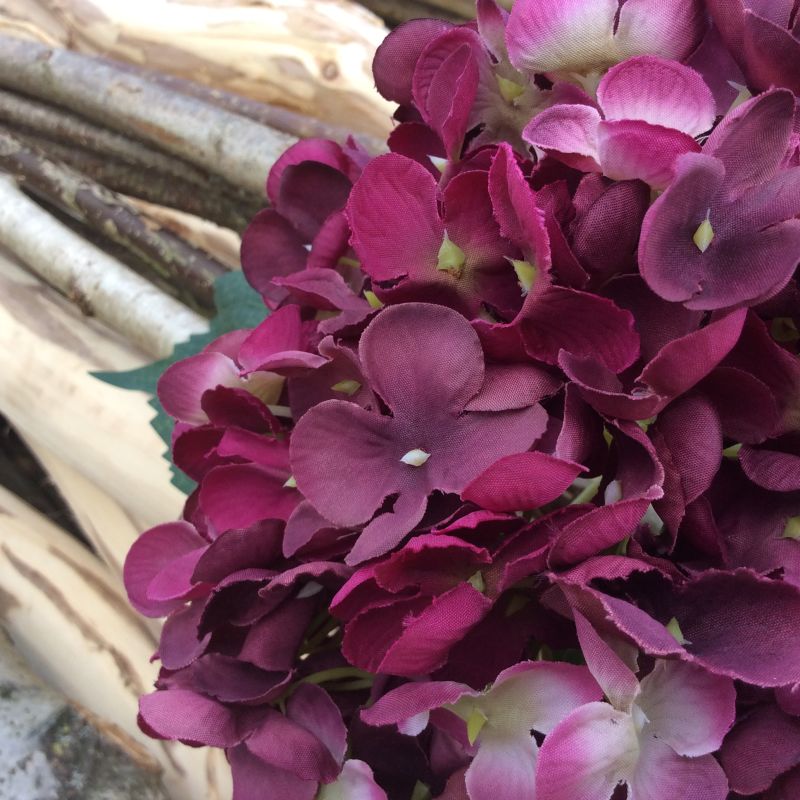 Hydrangea - Magenta - Brandon Thatchers