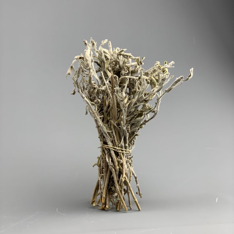 Sage 20cm long by 10 cm wide dried herb UK grown