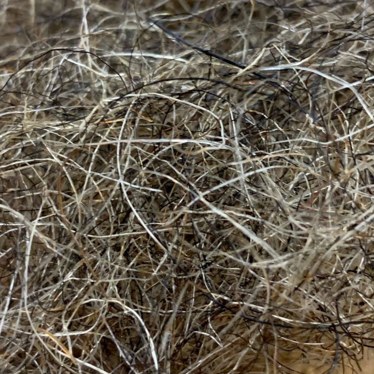 Horse/Hog Hair x 1 kg natural packing material
