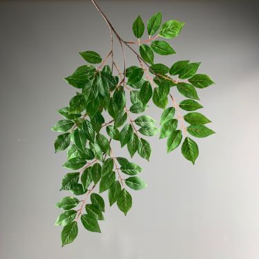 Water Reed Bundle, approx. 2 m plus tall by 25 cm