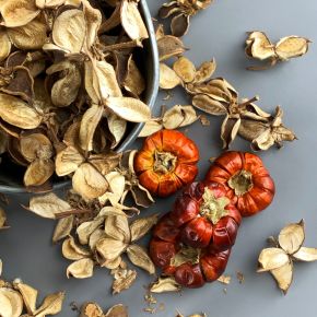 Putka Seed Pods 300-gram bag, approx. 10 to 20 mm