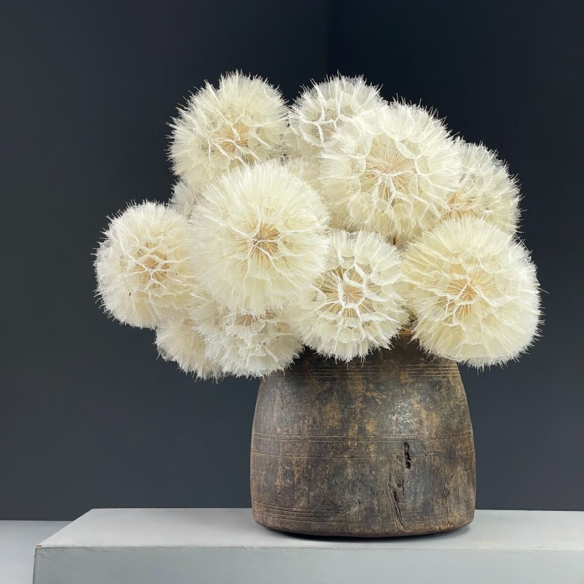 Giant Dandelion, 20 cm tall dried flower floral decoration (Individual ...