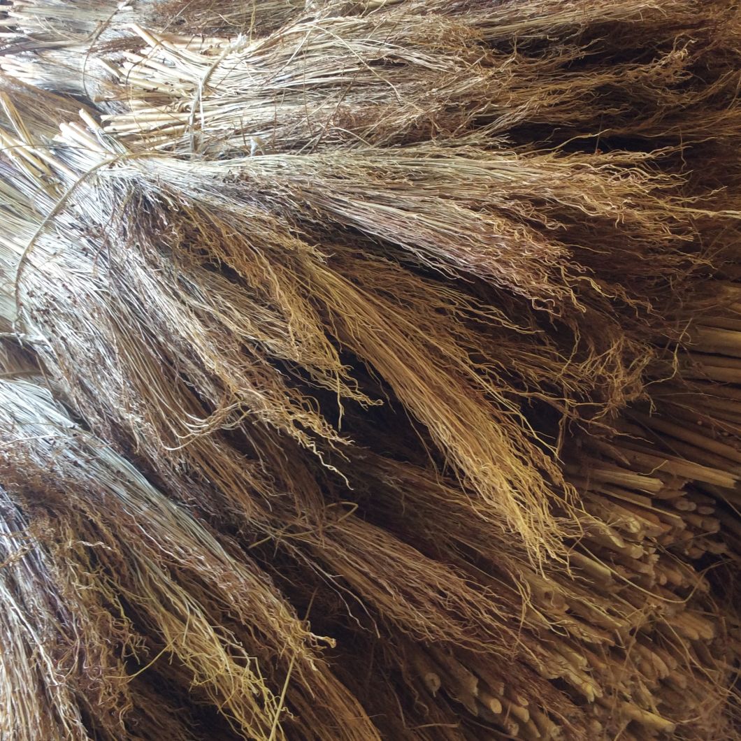 Sirak approx. 100 cm tall by 30 cm wide bundle