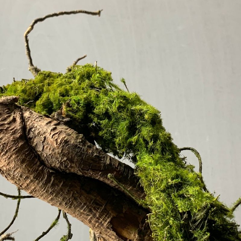 Moss Vine, approx. 120 cm long, Artificial