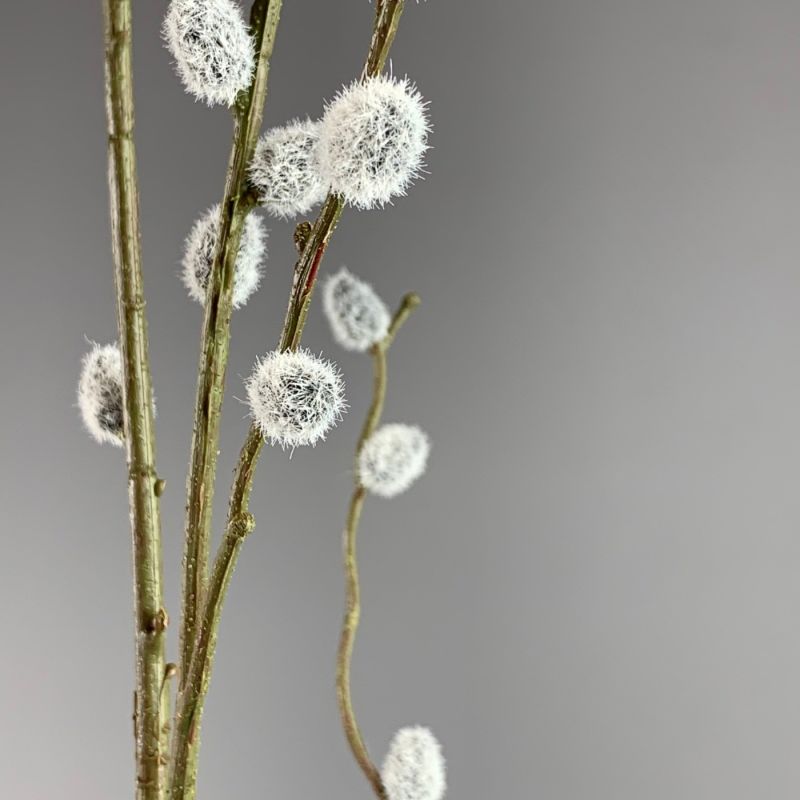 Pussy Willow Stems, approx. 1m tall with 35 fruits